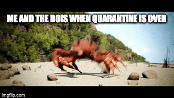 lockdown ends - Imgflip