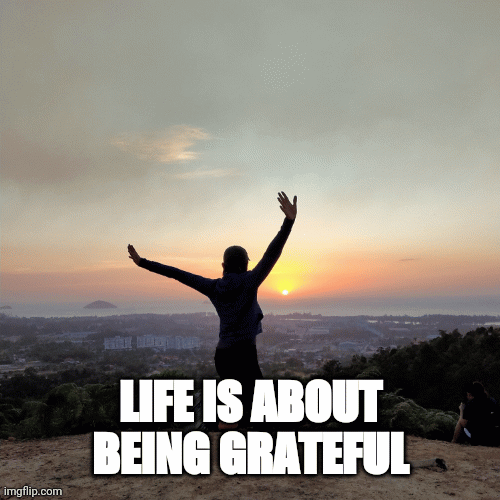 Life - Imgflip