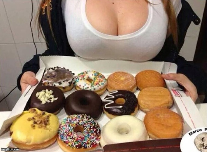 Donuts & Boobs - Imgflip