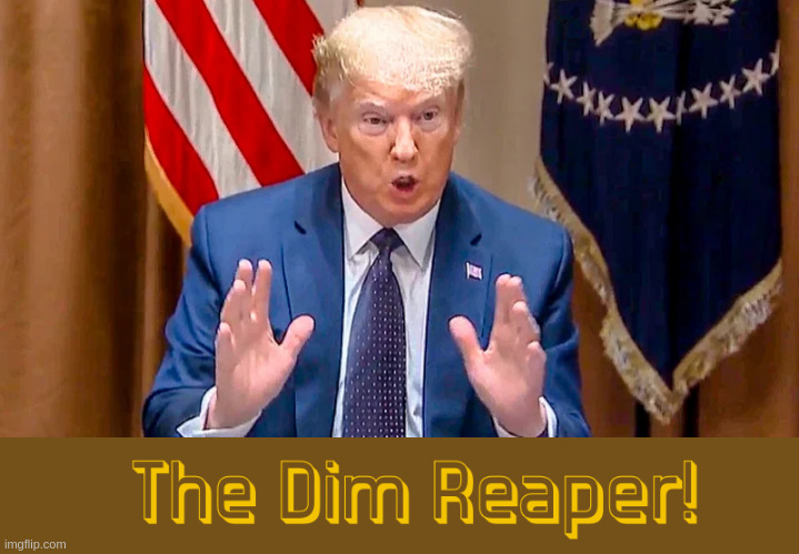 The Dim Reaper - Imgflip