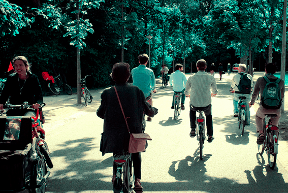 Levi, Jake, Fyfe & Joe cycling in the vondelpark, Amsterdam â˜” - Imgflip