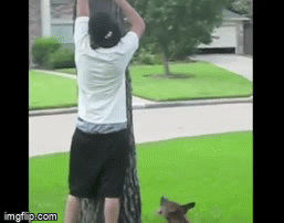 Lemme Drop Your Trou Sir - Imgflip