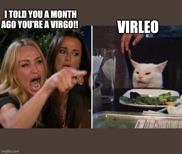 Angry Lady Cat Memes Imgflip