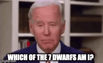 Joe 2020 30330 - Imgflip