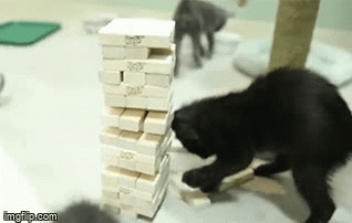 This cat is playing Jenga. - Imgflip