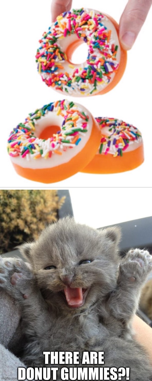 Image tagged in yay kitty - Imgflip