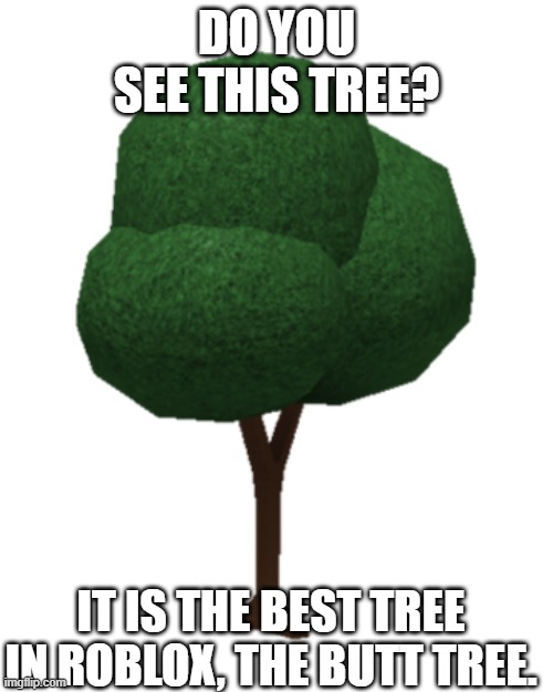 Image tagged in organic butt tree - Imgflip