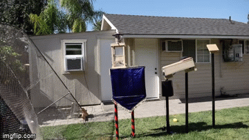 Mark Rober - Flinging Squirrels for a Living - Imgflip