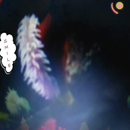 Bumping around - Imgflip