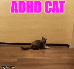ADHD - Imgflip