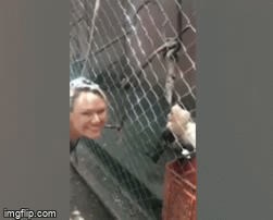 We Someone Snatches What They Think is a Weave - Imgflip