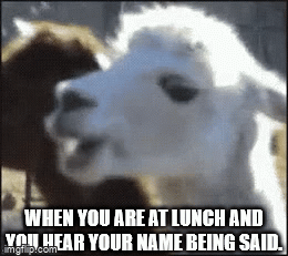 Me at lunch - Imgflip