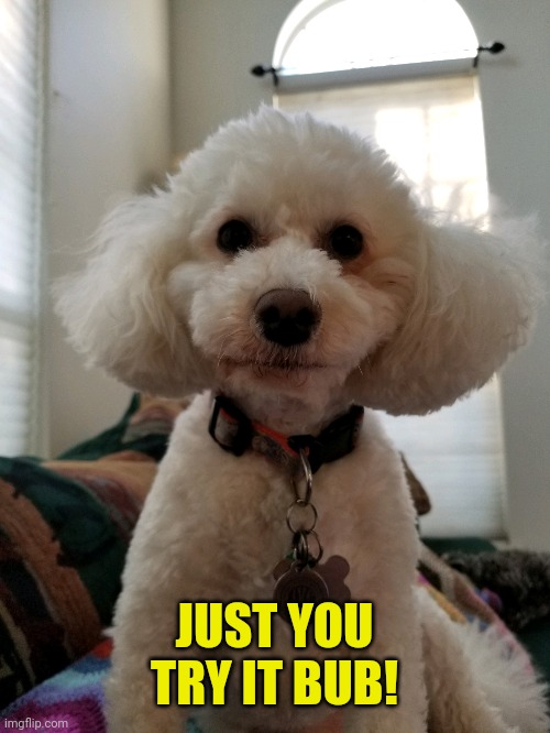 Would it Hover? - Imgflip