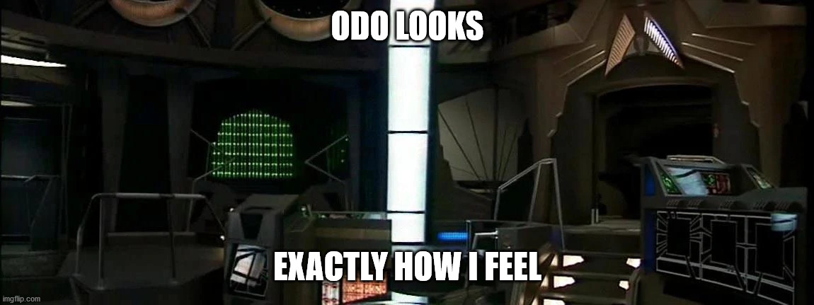 Odo looks exactly how I feel : r/risa