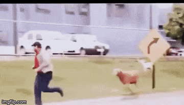 me and the bois at 3am getting chased by a goat - Imgflip