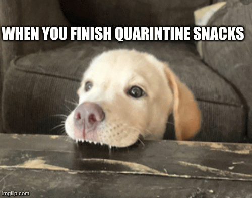 quarantine meme - Imgflip