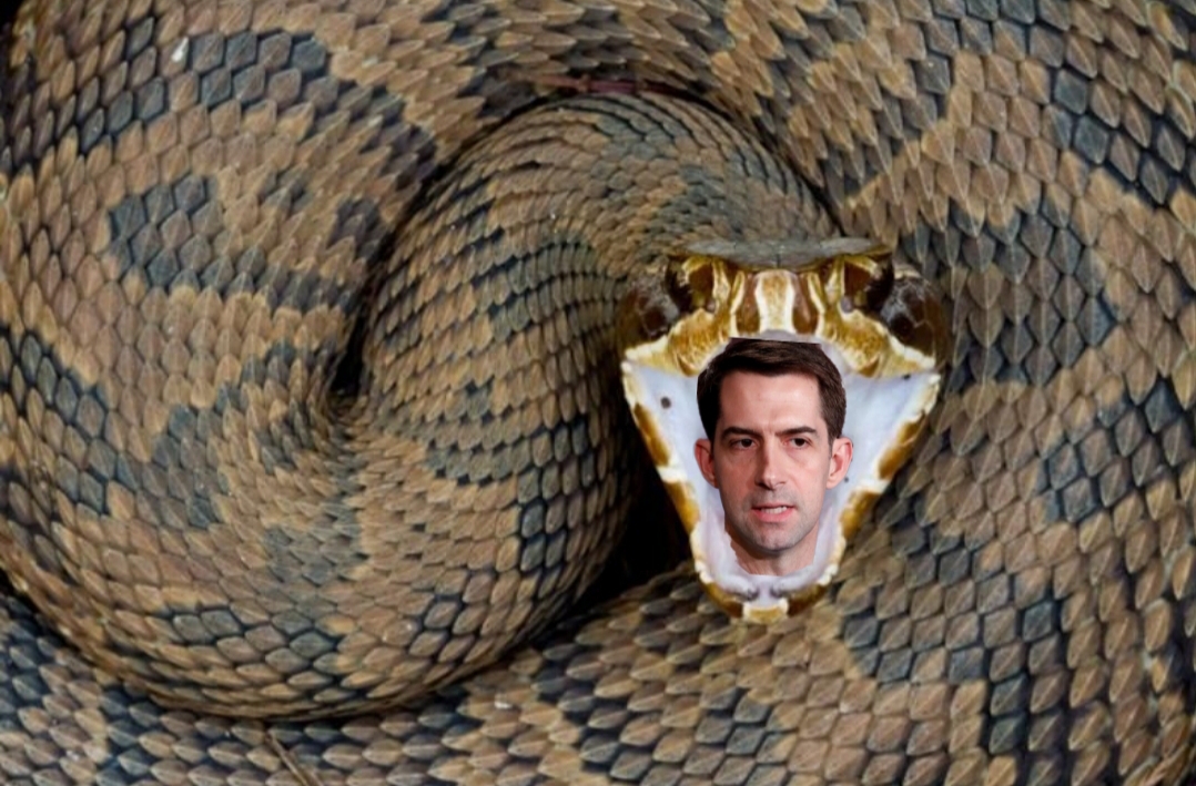 Venomous Blank Template - Imgflip