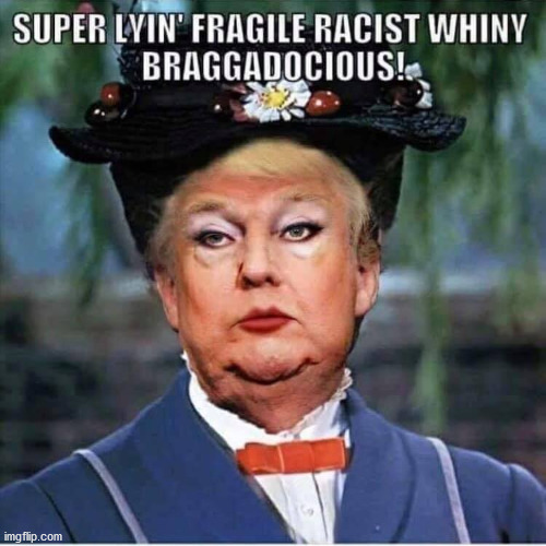 The Pretty Face of Tyranny - Imgflip