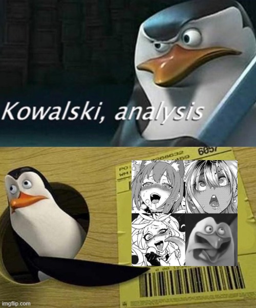 Kowalski Analysis - Imgflip