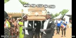 coffin dance - Imgflip