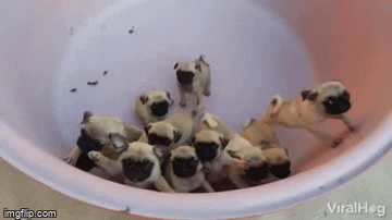 LET US OUT - Imgflip