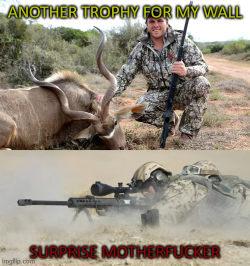 Killing an animal to put on display makes you a glorified poacher, and ...