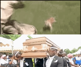 Coffin Dance - Imgflip