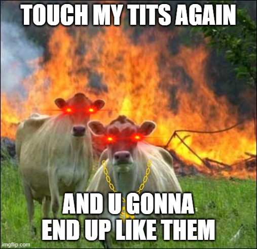 Evil Cows Meme - Imgflip