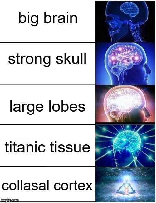 Big Brain Imgflip Big Brain Imgflip
