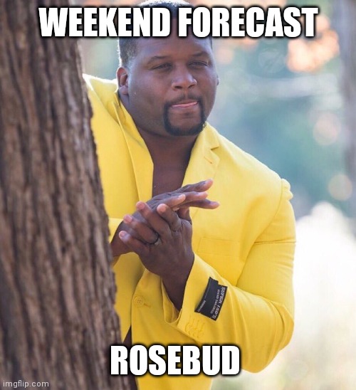 Black guy hiding behind tree - Imgflip