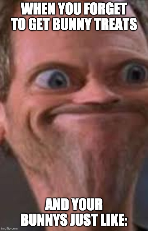 my rabbit be like : r/BunnyMemes