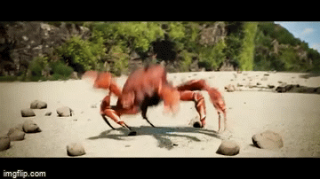 Crab Rave - Imgflip