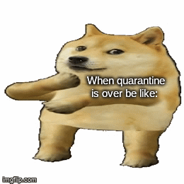 when quarantine is over be like: - Imgflip