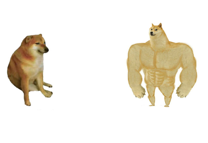 Dog Meme Template Cari