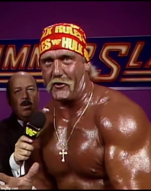 Hulks hogan - Imgflip