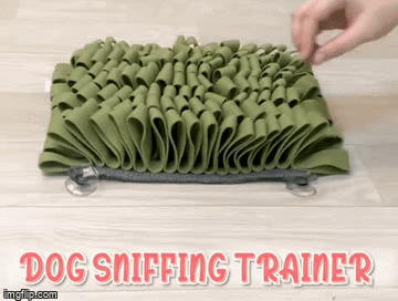 Dog Sniffing Pad