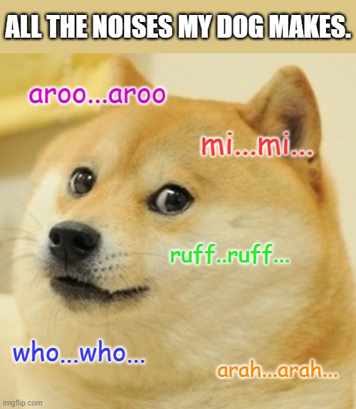 Doge Meme - Imgflip