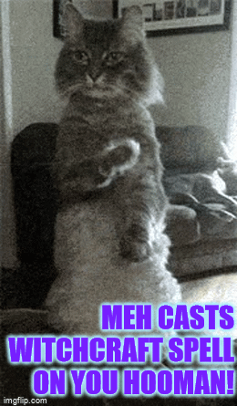 Spell caster - Imgflip