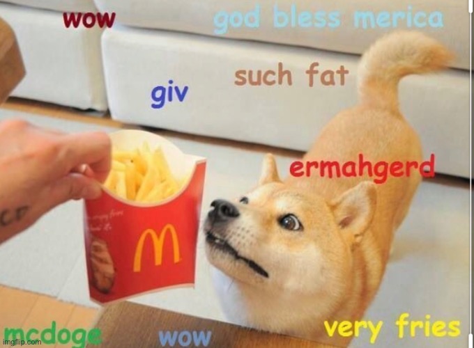 DOGE HUNGRY ? - Imgflip