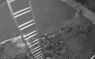 Walking Under a Ladder IS Bad Luck - Imgflip