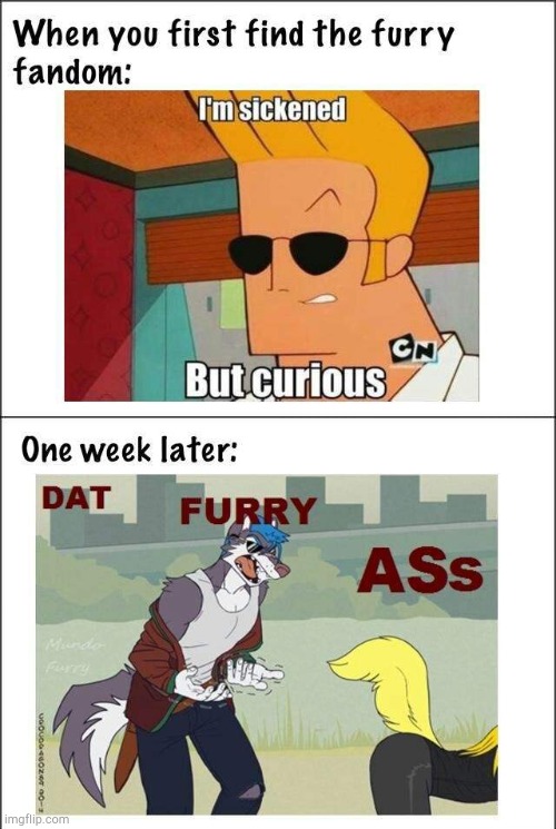 ...I am.....furry tired.... - Imgflip