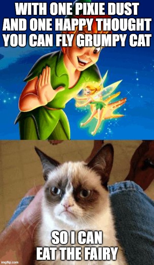 Grumpy Cat Does Not Believe Meme - Imgflip