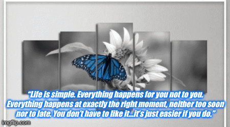 Life is simple - Imgflip