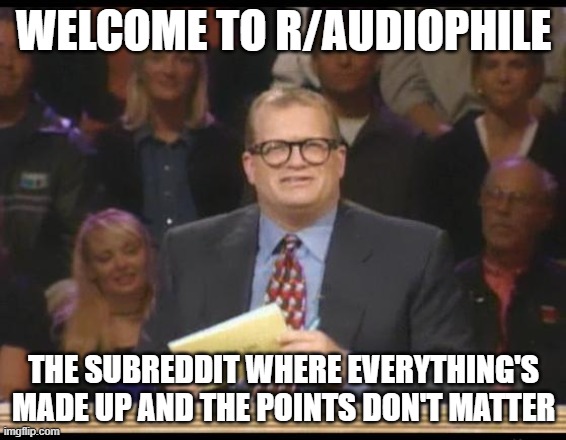Are Puns Allowed Raudiophile