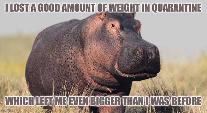 The New Normal - Imgflip