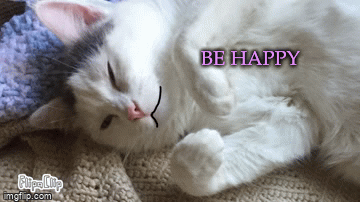 Be happy |cute kitty cat| - Imgflip