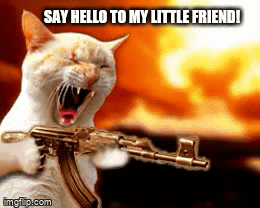 Say hello to my little friend! - Imgflip