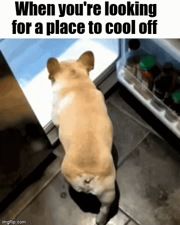 When you're looking for a place to cool off - Imgflip