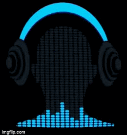 I like a lot of different types of music - Imgflip