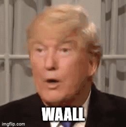 build the waaaaaaaaaaaaaaaaaaaaaaaaaaaaaaaaaaaaaal - Imgflip